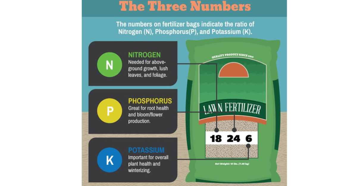 “How to Use NPK for Plants” – mumerjaved.com